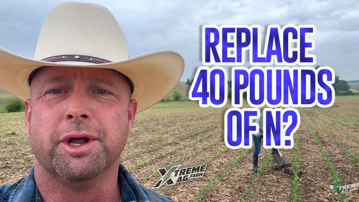 Root Digs Show Strong Early Growth with Kelly Garrett