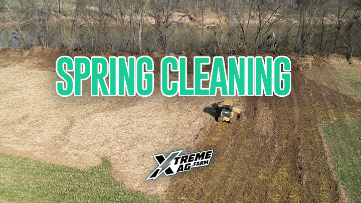 Farm Flooded with Cornstalks