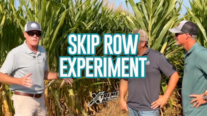 Exploring Skip-Row Corn Planting: Benefits, Challenges, and Cost Savings