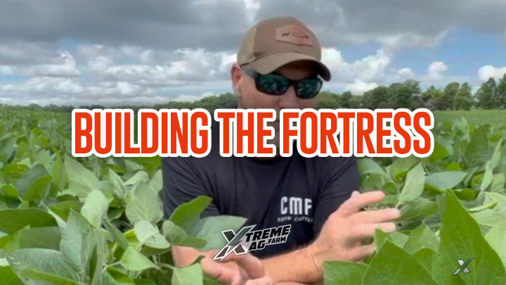 Building a Soybean Fortress with An In-furrow Program