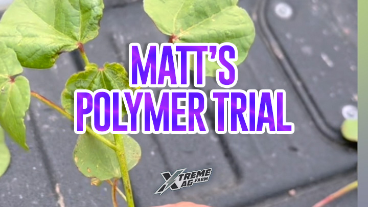 Boosting Crop Health With Polymer Tech