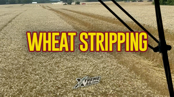 Sustainable Wheat Stripping and No-Till Farming Practices