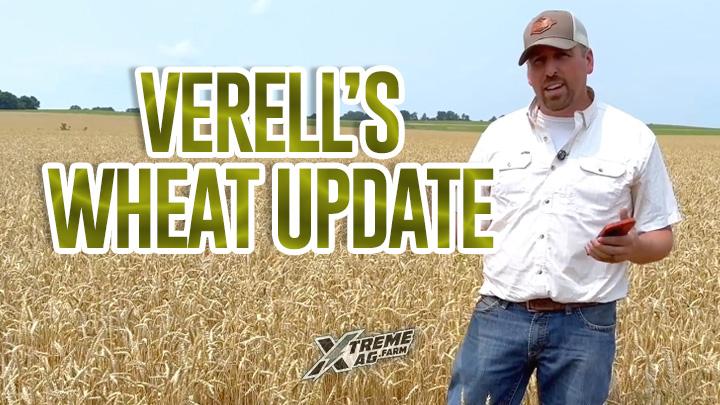 Johnny Verell's Wheat Face-Off