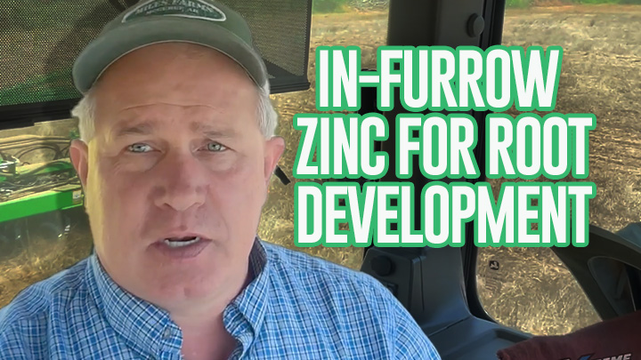 Testing Zinc for Enhanced Root Development in Corn: