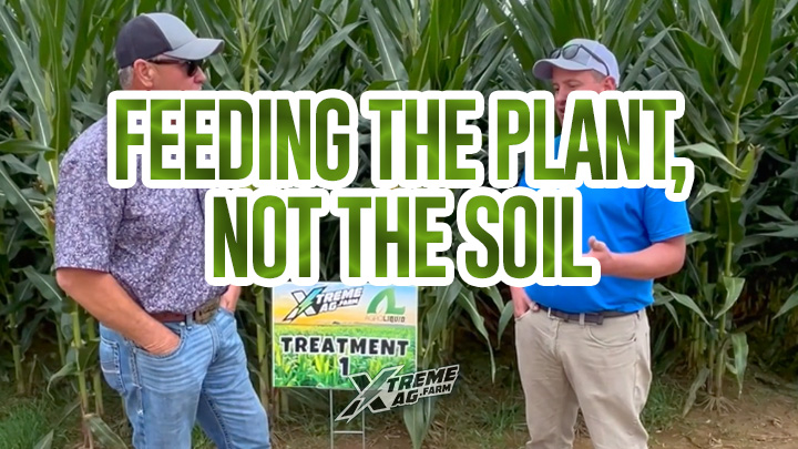 Phosphorus Efficiency Tips with Temple Rhodes