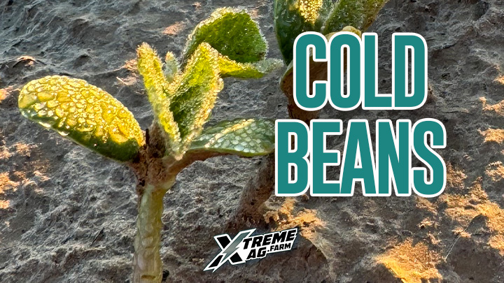 Frost Management and Early Planting