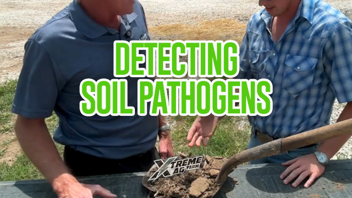Detect and address soil pathogens like fusarium