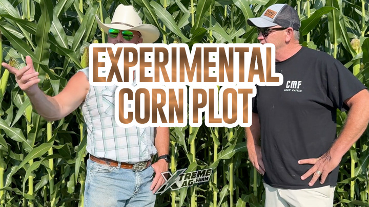 Tidal Grow’s Corn Trial Gets Farmer Attention