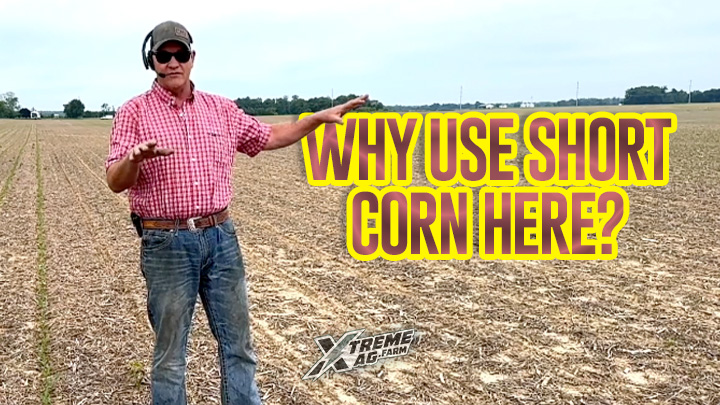 Short Corn Setup for Better Sprayer Access | Temple Rhodes