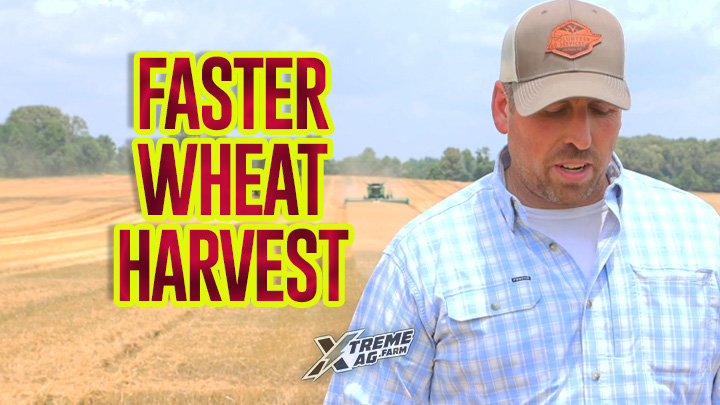 Wheat Harvest Tips from Johnny Verell | Boost Efficiency Fast