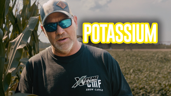 Unlocking Potassium Potential on Your Farm: Expert Potassium Management ...