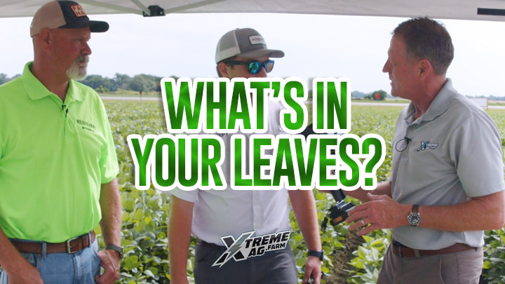 Farming Video | Can Real-Time Leaf Testing Save You Money on the Farm?
