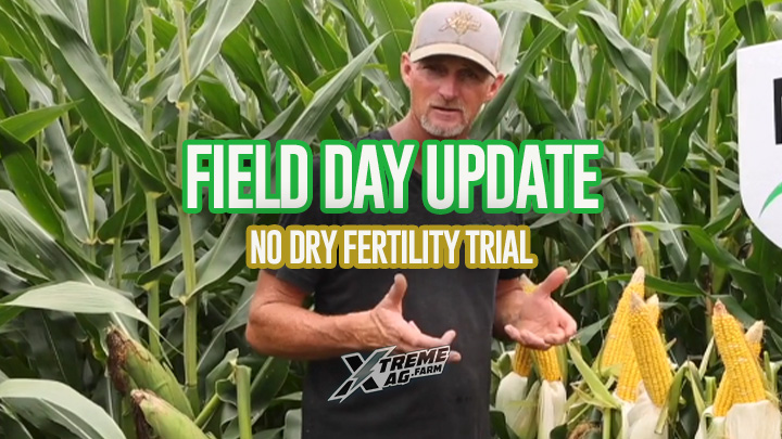 What Happens When You Grow Corn Without Any Dry Fertility?