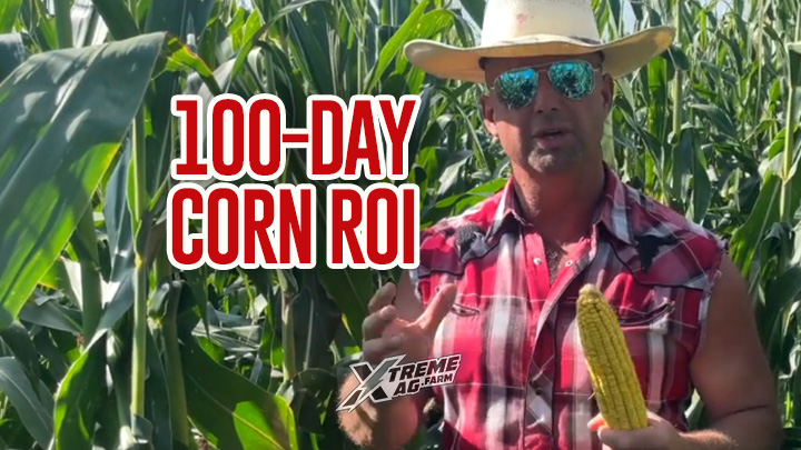 The Early Harvest Advantage with 100-Day Corn