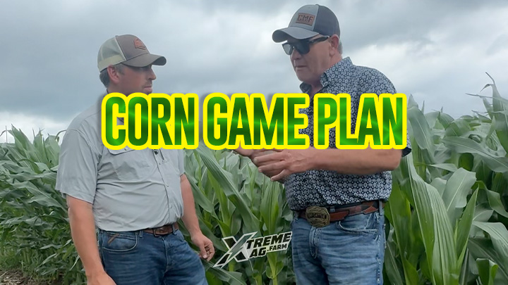 Corn Stress Tips from Verell & Rhodes