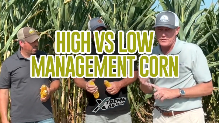 High vs. Low Management Corn: ROI Insights from Verell Field Day