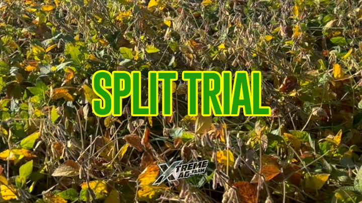 Split Application of RevLine Shows Promising Soybean Yield Results in ...