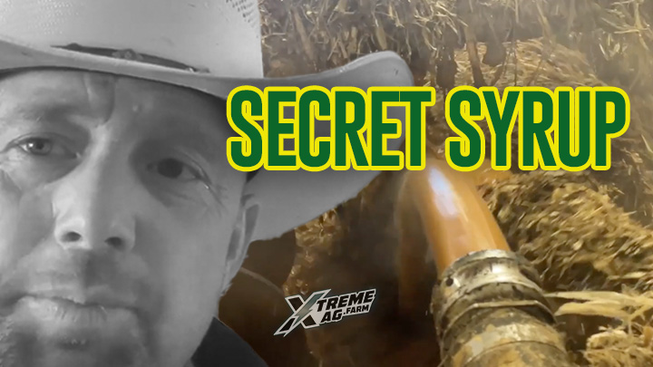 Ethanol Byproduct Syrup: Cost-Effective Livestock Feed Solution