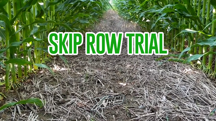 Late-Planted Double Crop Corn Trial Shows Promise with Skip Row Planting
