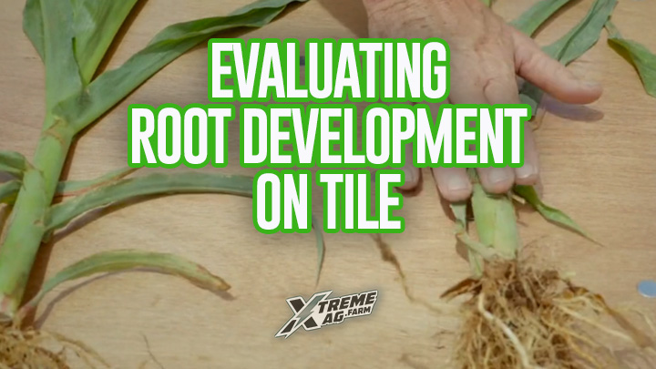 Evaluating Tile Drainage Impact on Corn Root Development