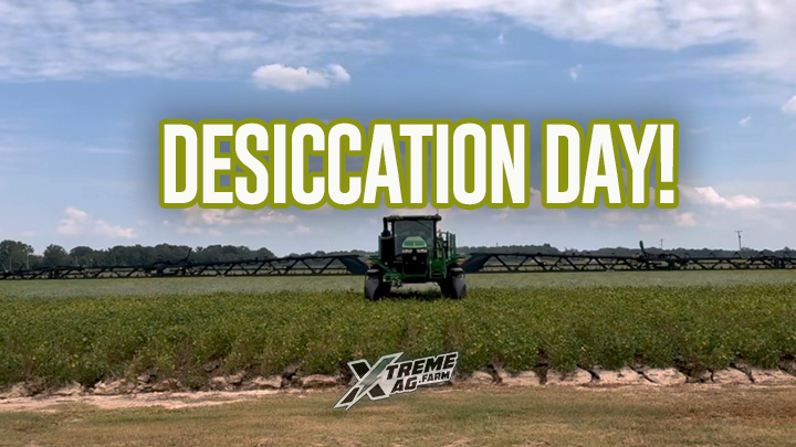 Soybean Desiccation: What Rate is Best?
