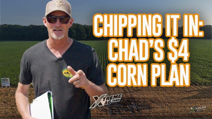 Optimizing Corn Yield: Effective Strategies for $4 Corn Markets