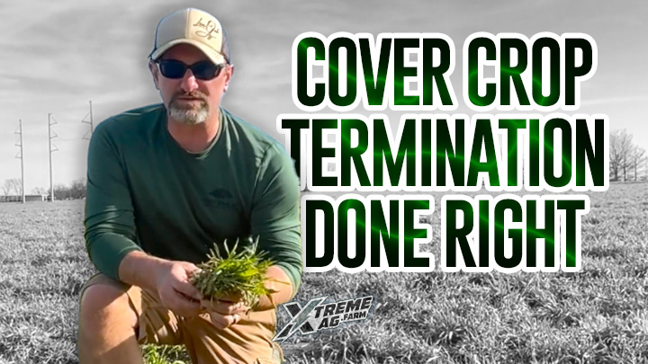 Best Practices for Cover Crop Desiccation Before Cotton Planting | XtremeAg