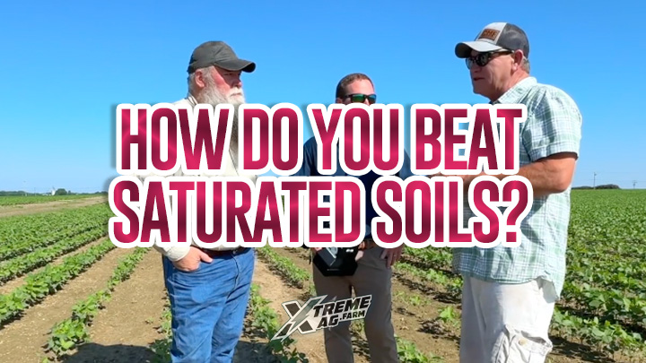 Soybean Stress Tips from Temple Rhodes