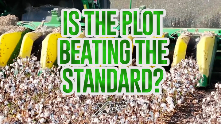 Nachurs Cotton Plot Test Shows Strong Yields in Wet Year