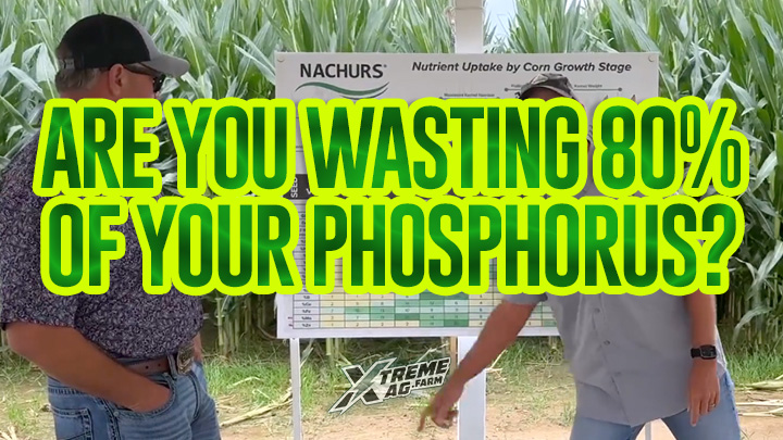 Phosphorus Placement Tips with Temple Rhodes & Nachurs