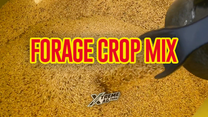 From Soy to Livestock: How a New Forage Mix is Increasing Farm Revenue ...