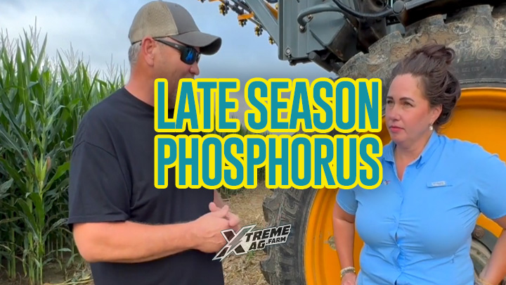 Enhancing Late-Season Phosphorus Uptake: XtremeAg's Field Trial Insights