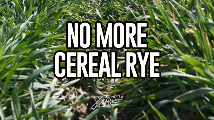 Why Kelly Garrett Avoids Cereal Rye in Cover Crops: Managing Fusarium Risks