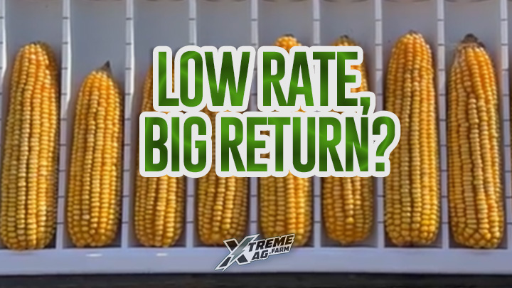 Kevin Matthews Corn Trial: 2 Bushel Boost with Low-Rate Program