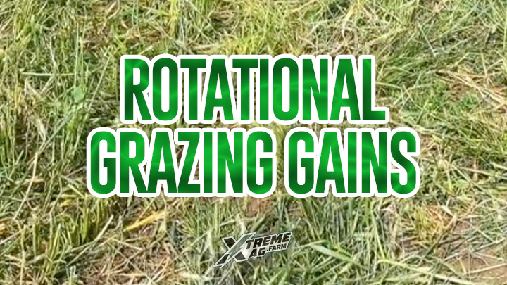 Kelly Garrett’s Summer Grazing Mix Pays Off Big