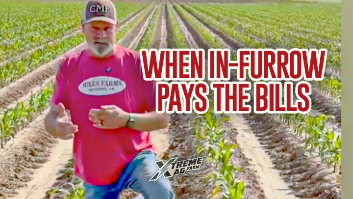 Maximizing Yields: In-Furrow Fertilizer Benefits on Low CEC Soils