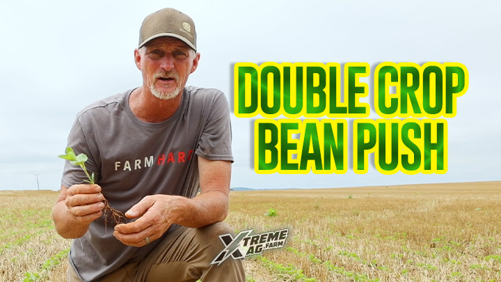 Double Crop Beans: Chad Henderson’s Early Growth Tactics