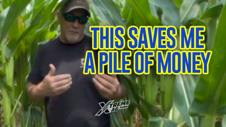 He might not need to make another fungicide pass afterall