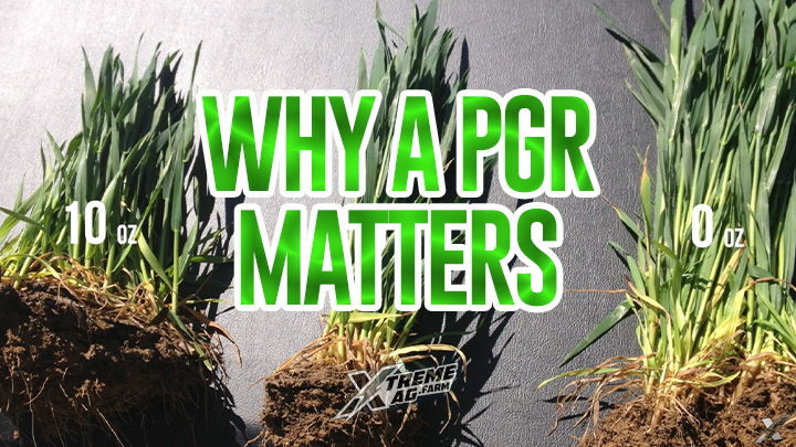 Using PGR to Prevent Wheat Lodging | Johnny Verell | XtremeAg